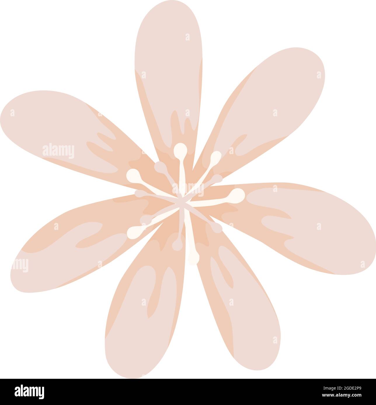 vanilla flower design Stock Vector Image & Art - Alamy