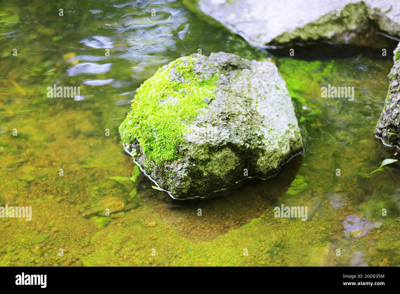 Big stone in natural landscaping Stock Photo - Alamy