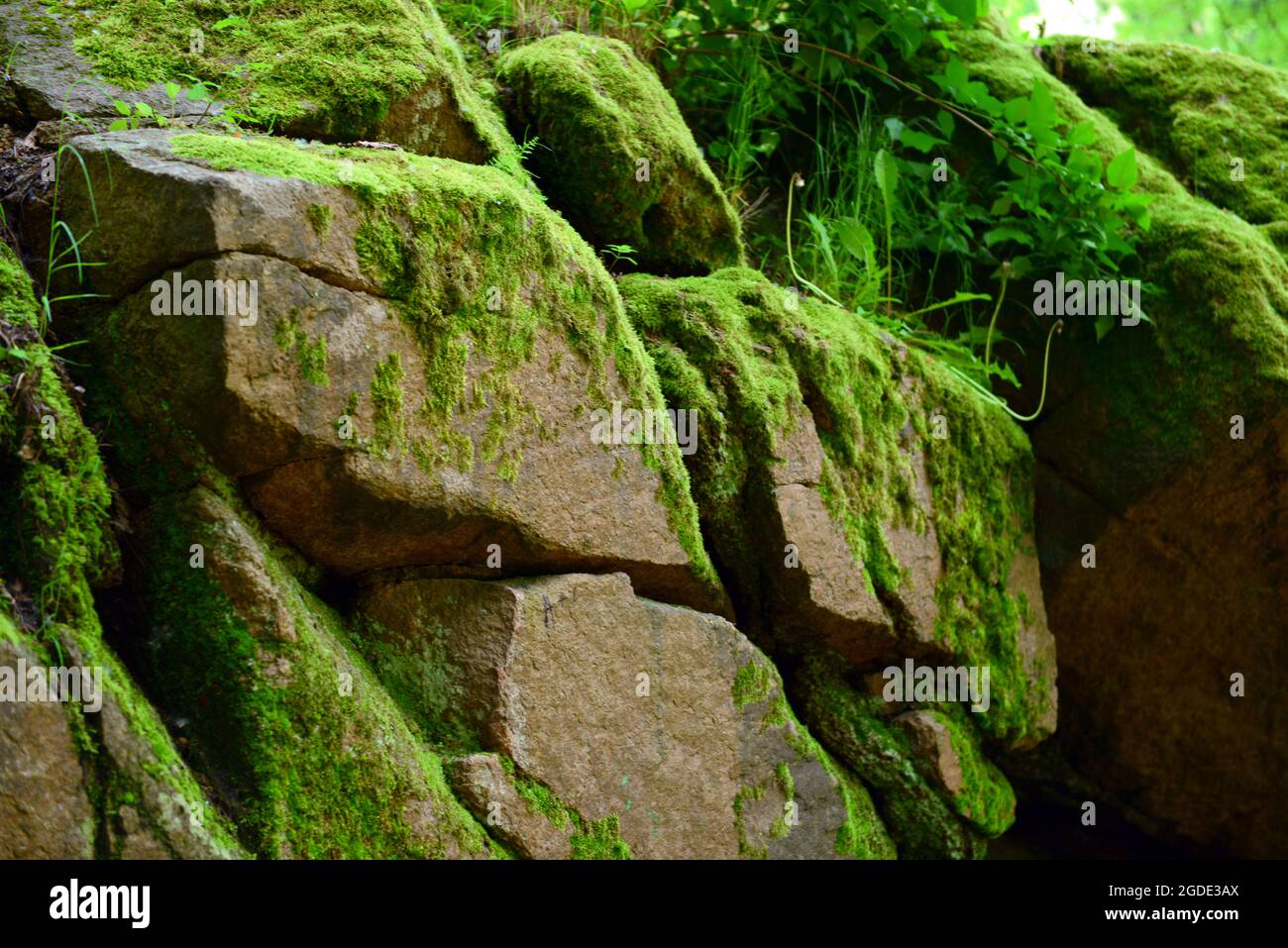 Stone texture close-up Stock Photo - Alamy