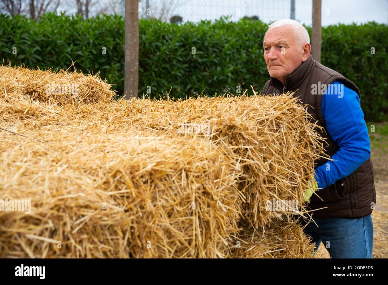 Elderly farmer dry hi-res stock photography and images - Alamy
