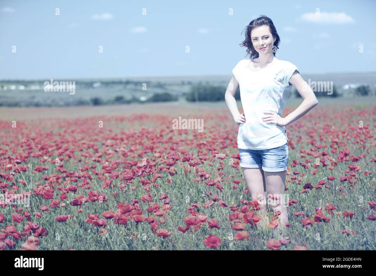 Beautiful young woman in poppy field Stock Photo - Alamy