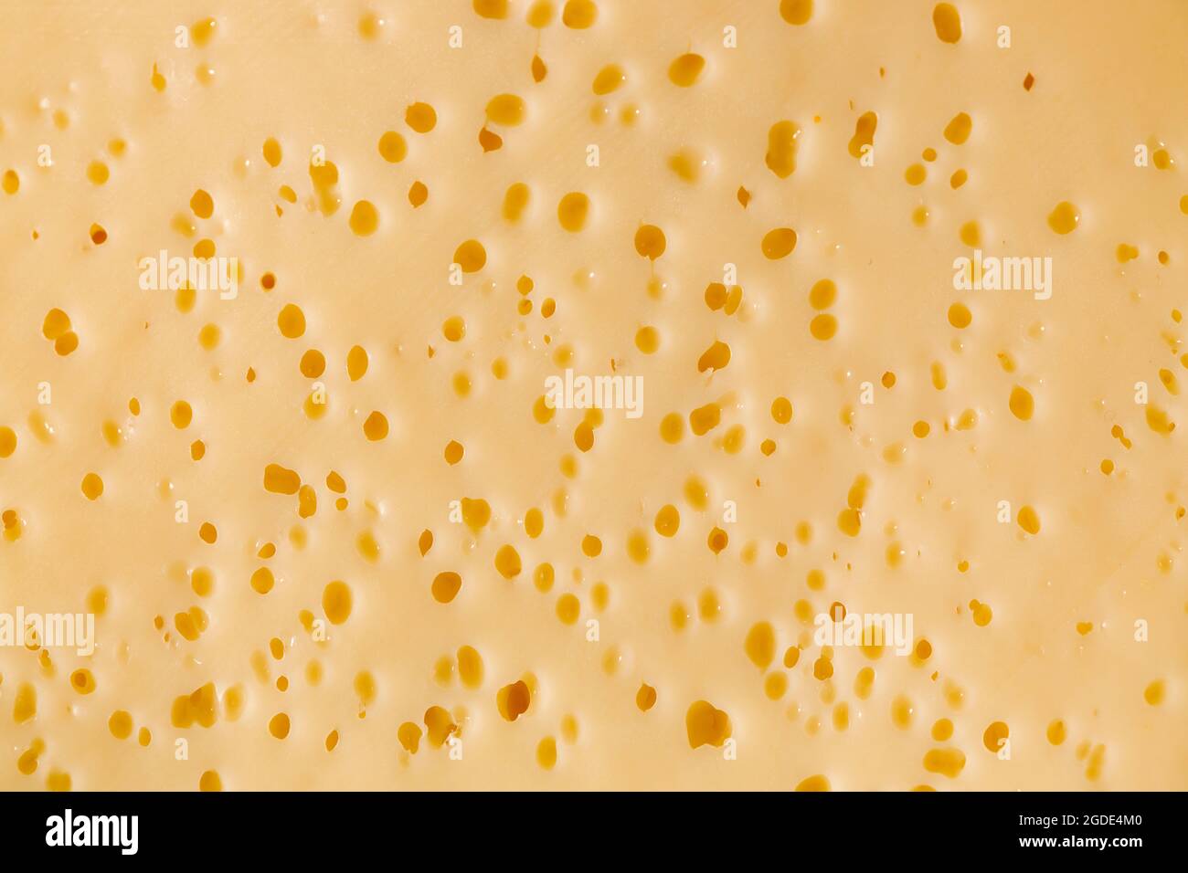 Closeup, background and texture solid of cheese Stock Photo - Alamy