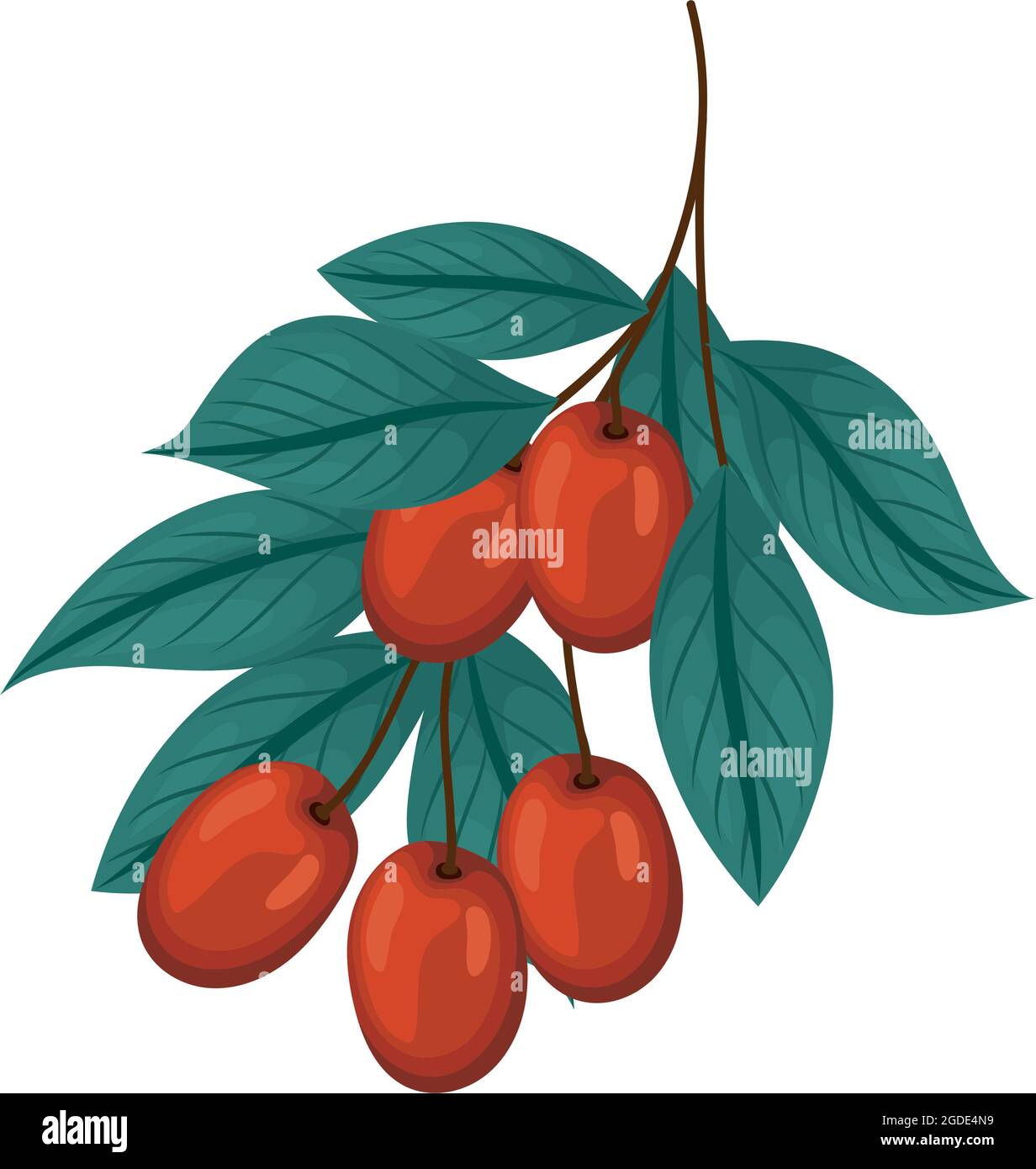 coffee beans design Stock Vector Image & Art - Alamy