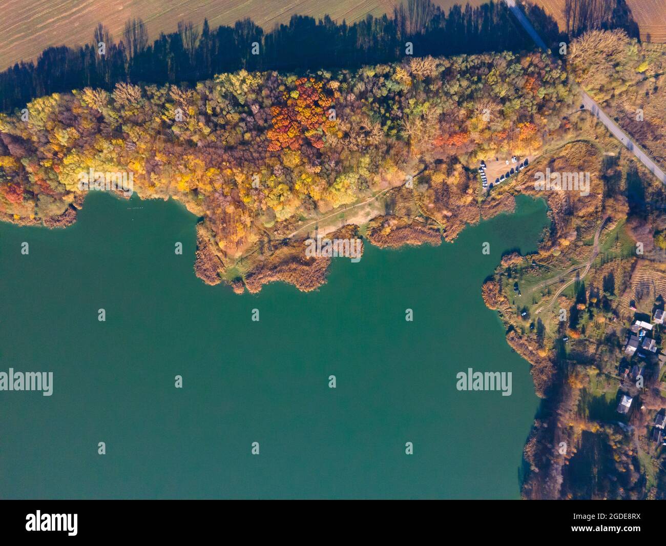 overhead top view of autumn beach lake with green water Stock Photo - Alamy