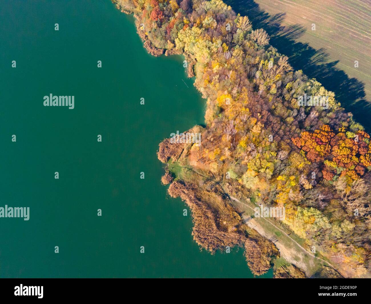 overhead top view of autumn beach lake with green water Stock Photo - Alamy