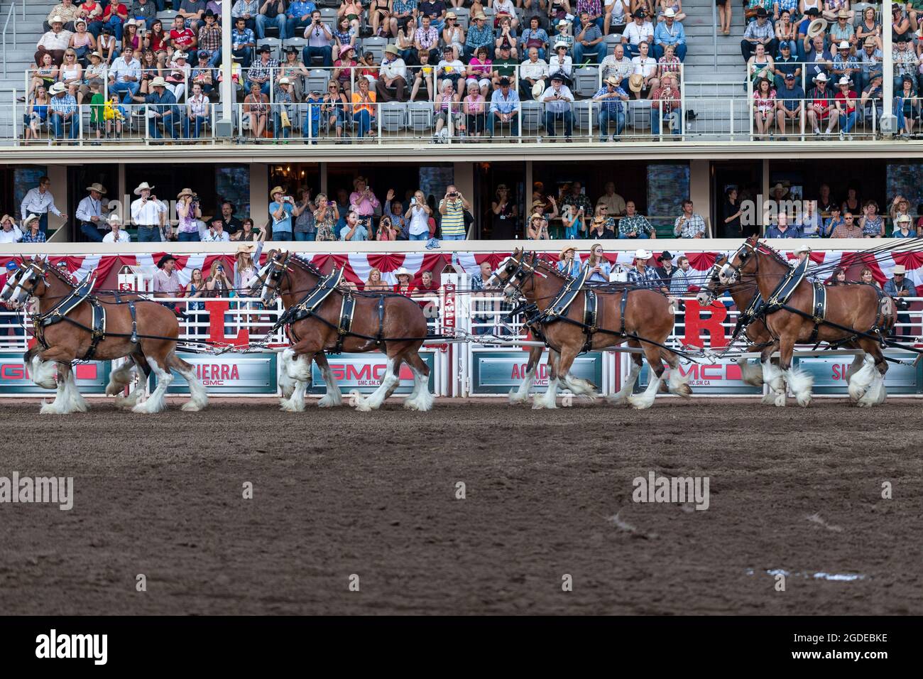 Calgary stampede stadium hi-res stock photography and images - Alamy