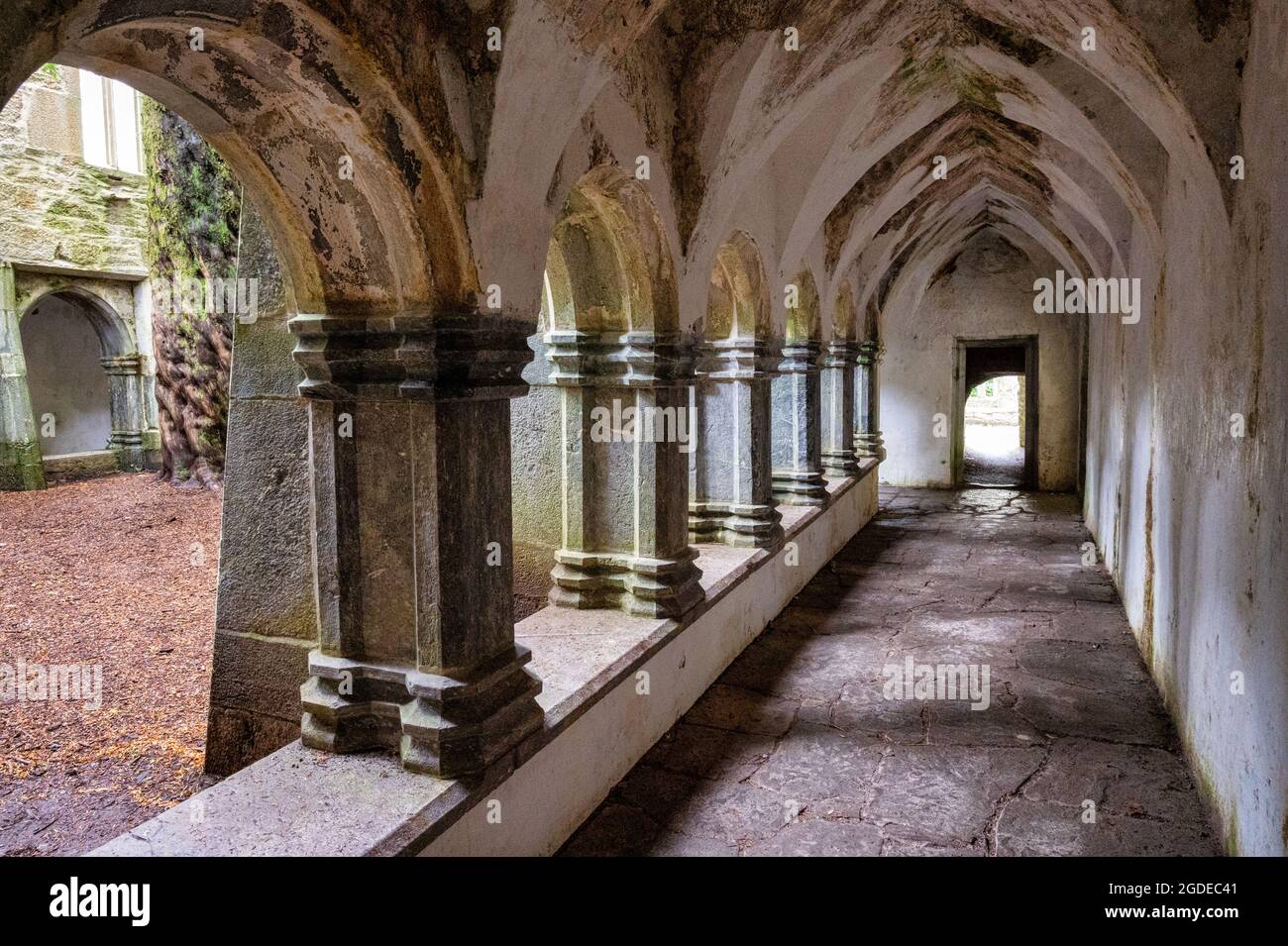 Muckross cloister hi-res stock photography and images - Alamy