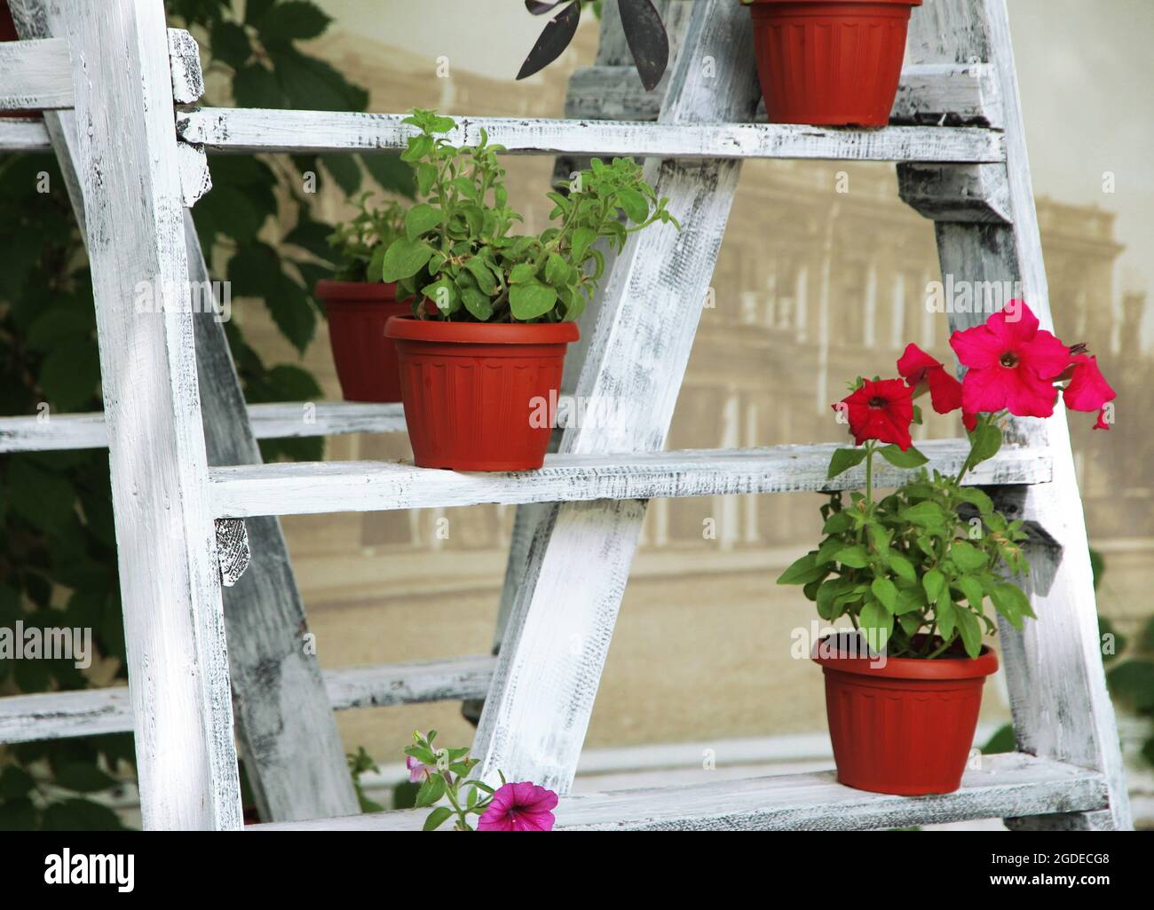 Wooden frame with flowers pots in garden Stock Photo - Alamy