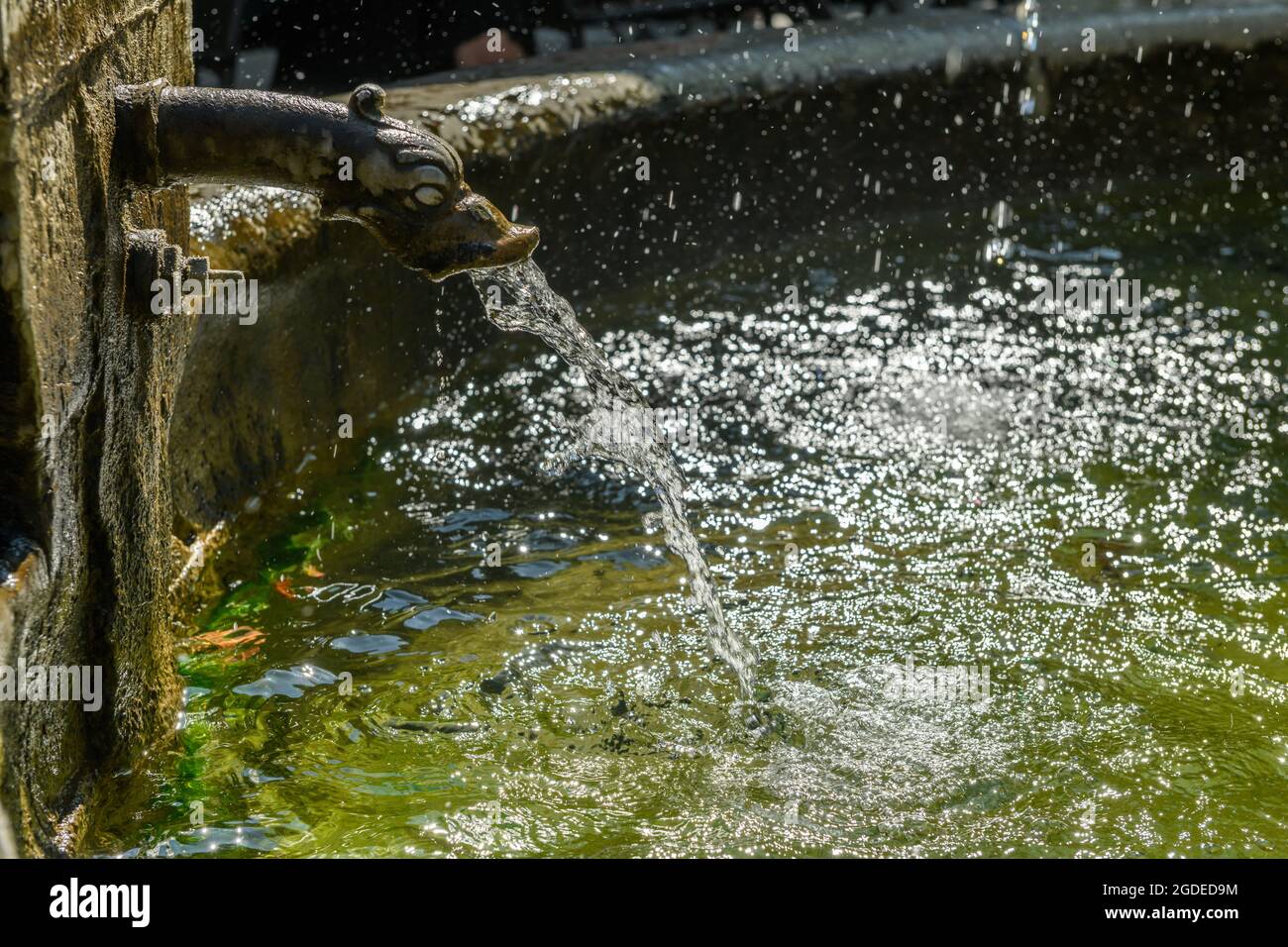 Water tank with a fountain hi-res stock photography and images - Alamy