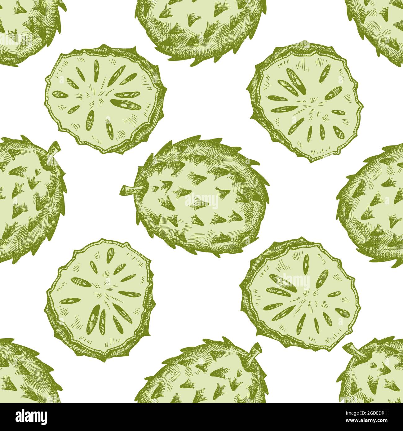 Seamless pattern with hand drawn pastel soursop Stock Vector Image & Art - Alamy