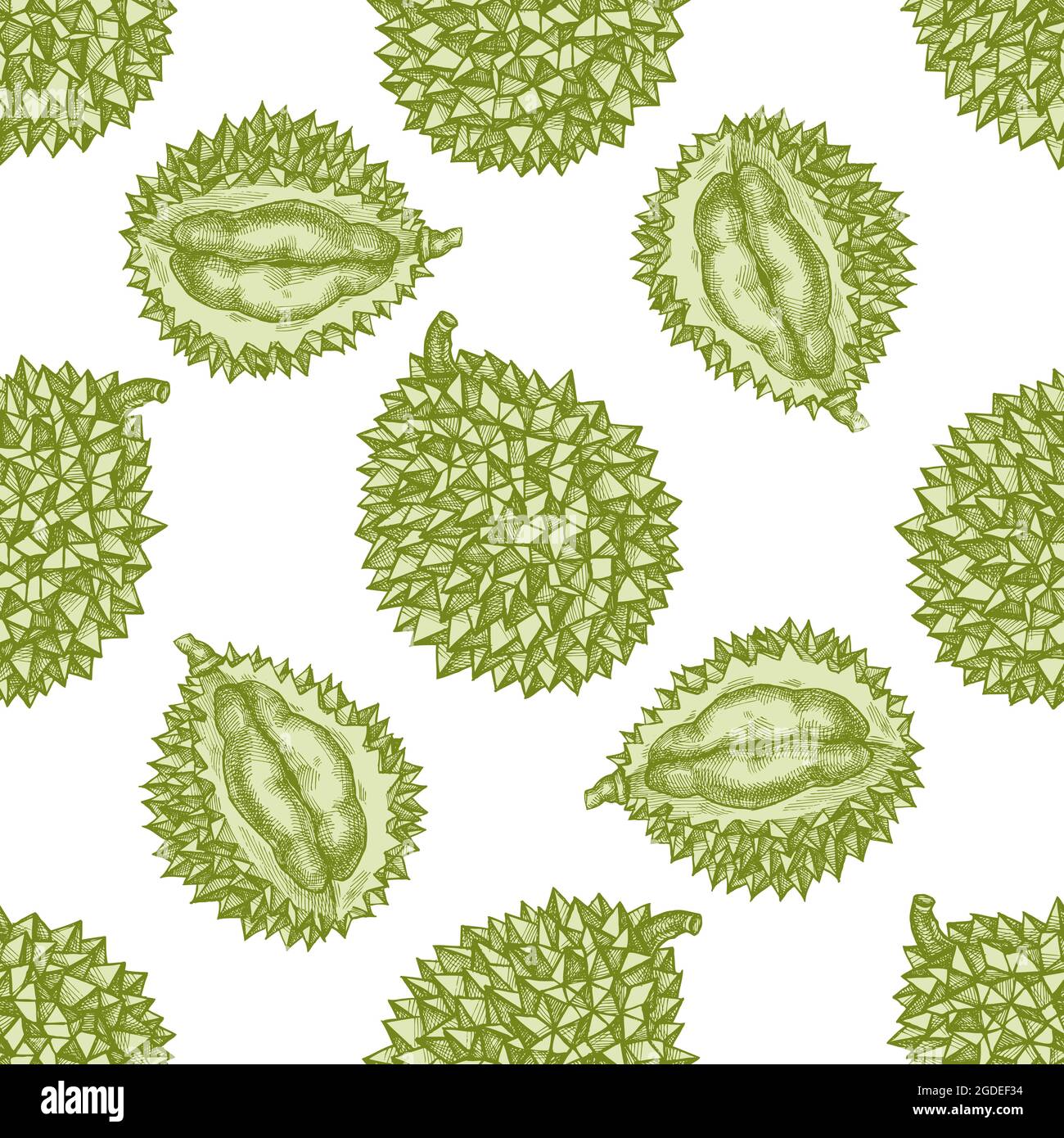 Seamless pattern with hand drawn pastel durian Stock Vector Image & Art ...