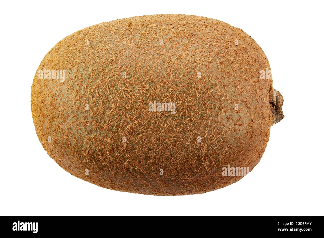 Whole kiwi close up isolated on white background. File contains ...