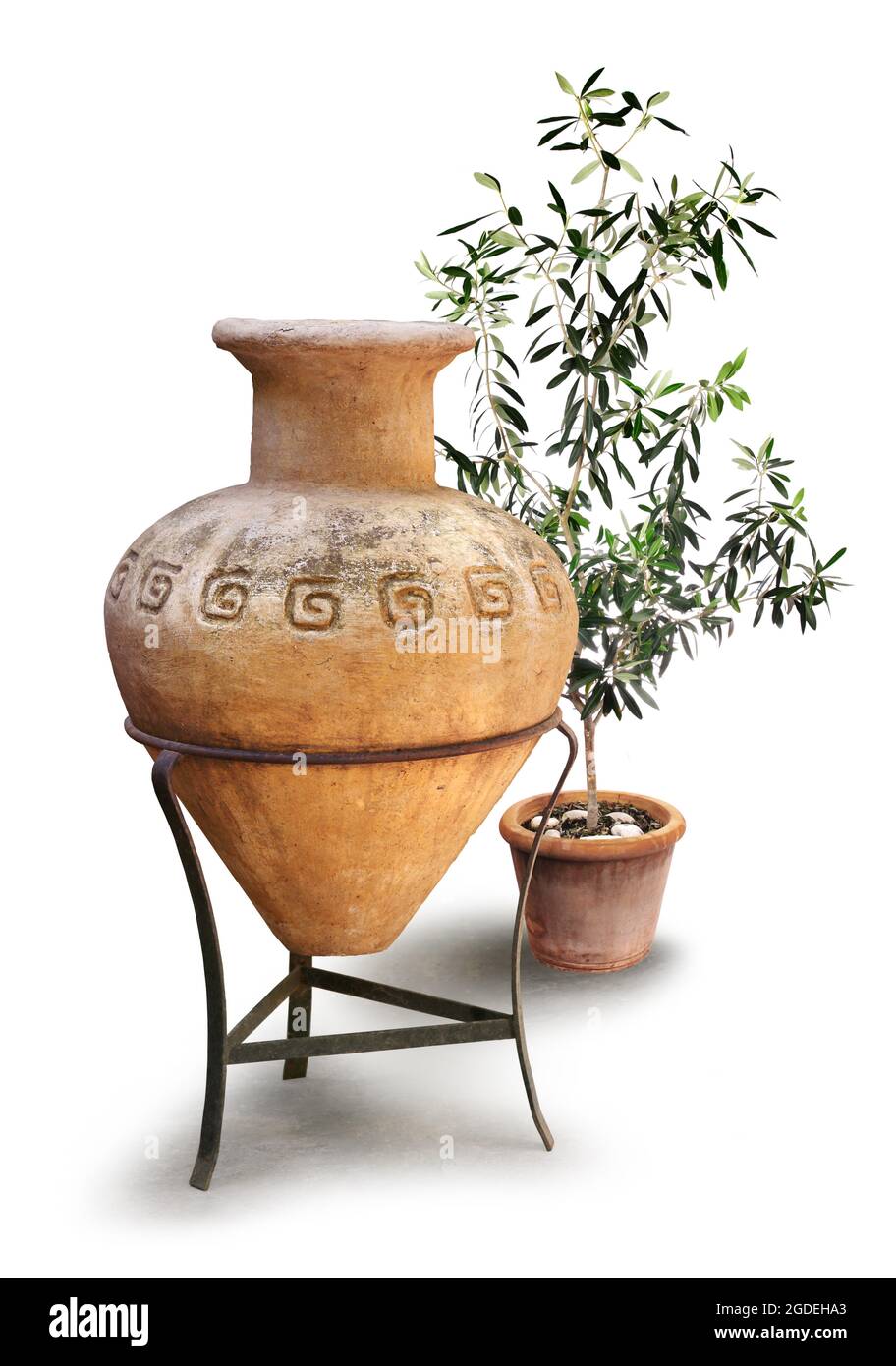 Olive tree pot hi-res stock photography and images - Alamy