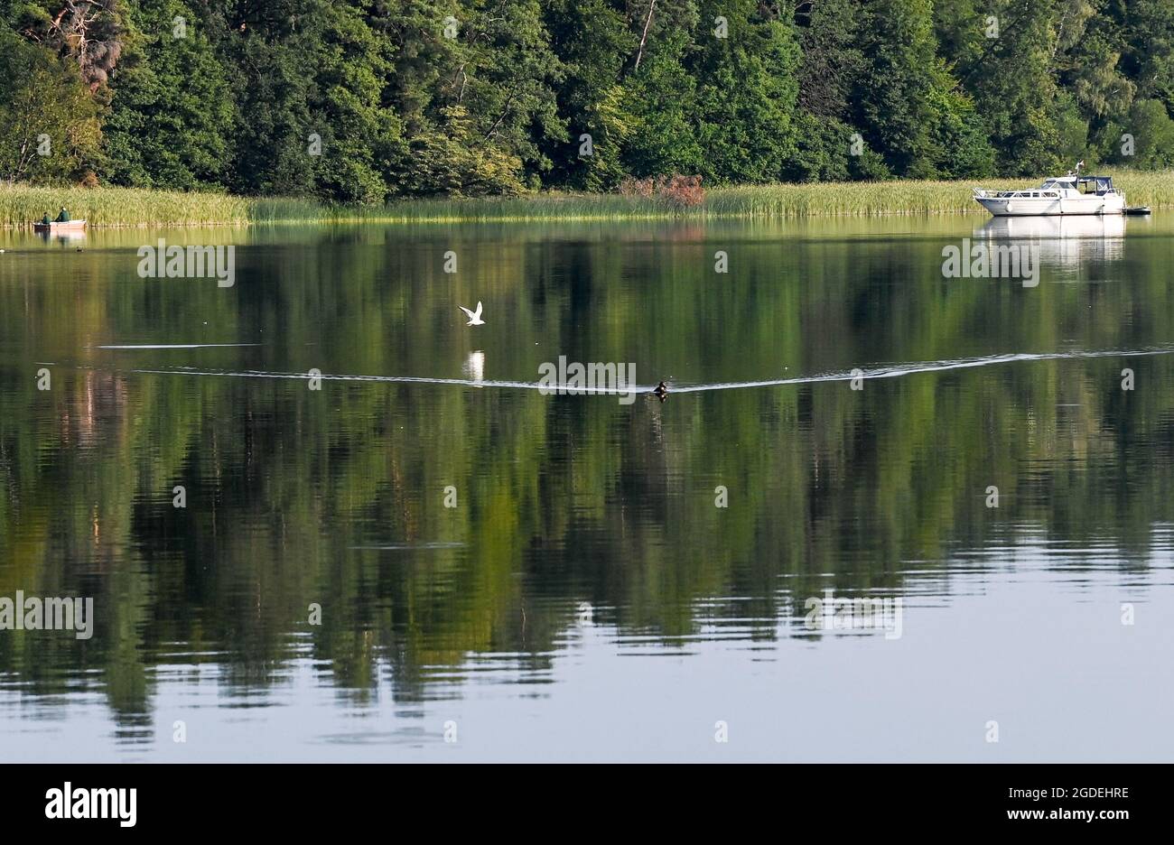 Warenthin hi-res stock photography and images - Alamy