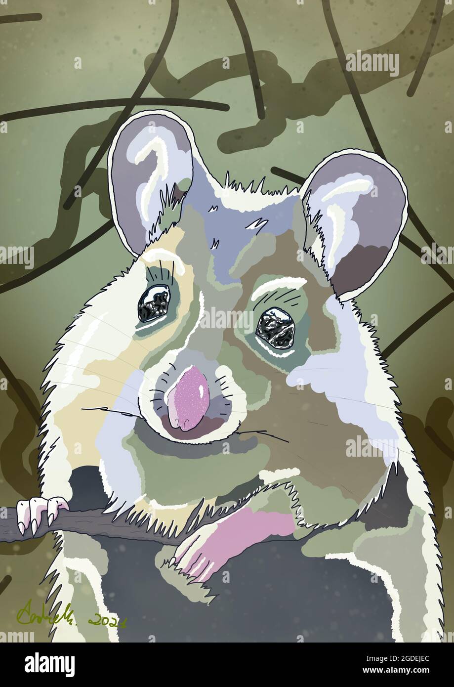 Mouse alert animal hi-res stock photography and images - Alamy