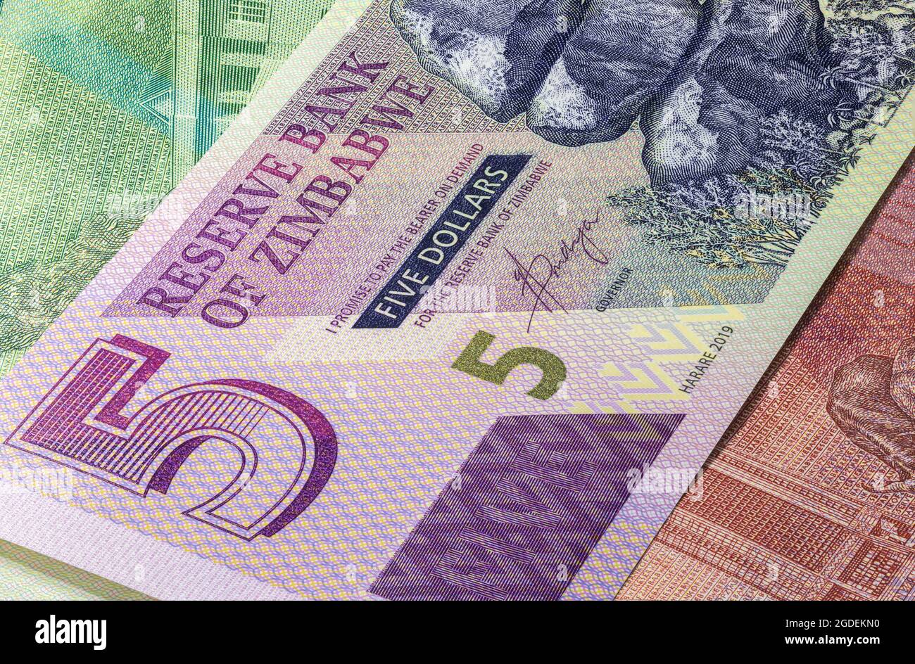 Zimbabwe dollar banknotes hi-res stock photography and images - Alamy