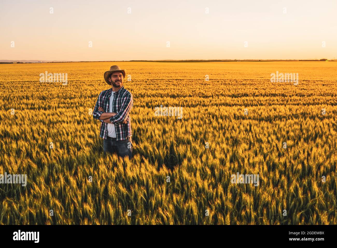 Farmer is standing in his growing wheat field. He is happy because of ...