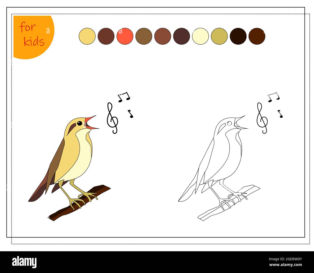 coloring book for children by colors, nightingale bird, vector isolated ...