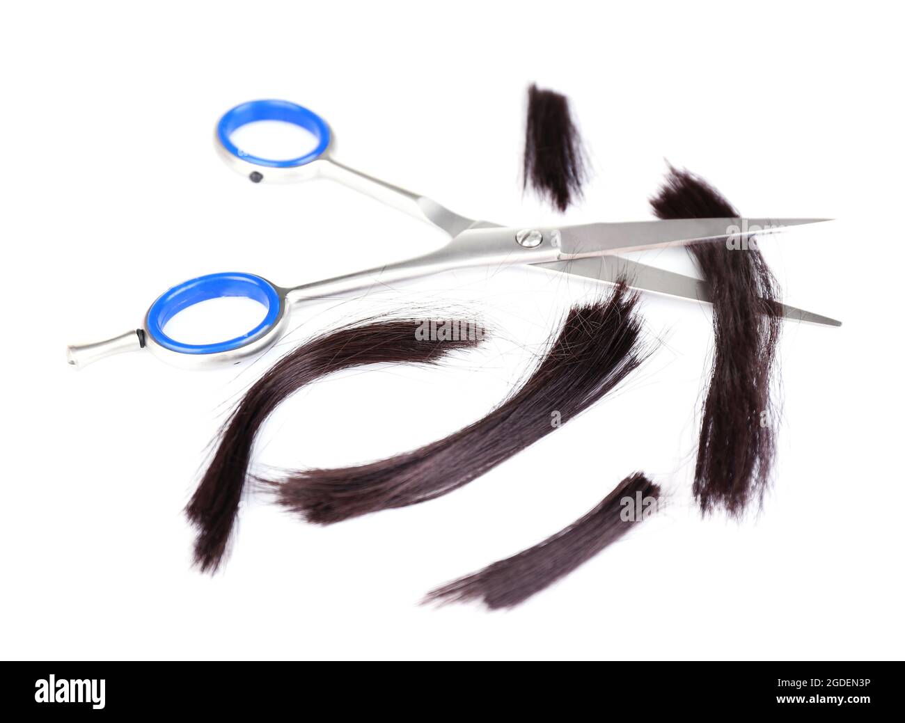 Cut hair and scissors, isolated on white Stock Photo - Alamy