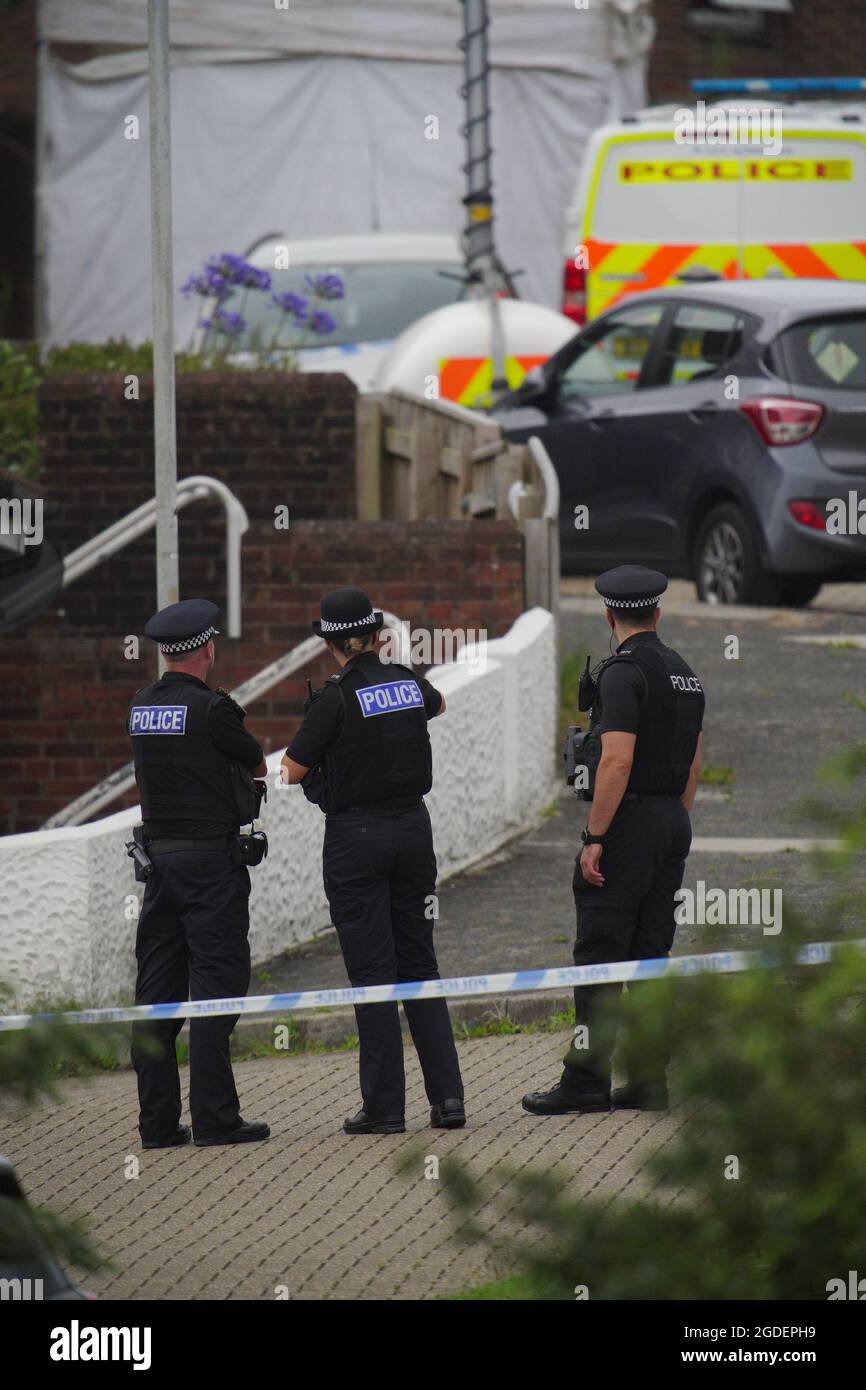 Police activity in Biddick Drive in the Keyham area of Plymouth where ...
