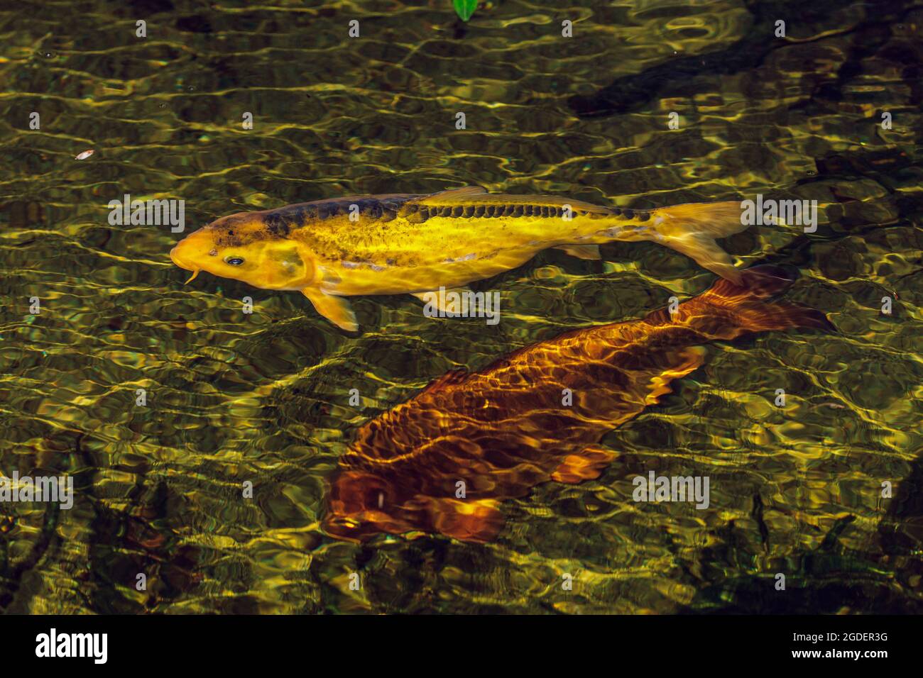 Artificial water in japanese garden hi-res stock photography and images ...