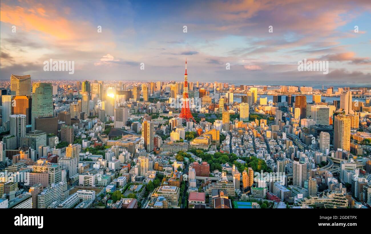 Panorama view of Tokyo city skyline and Tokyo Tower building in Japan ...