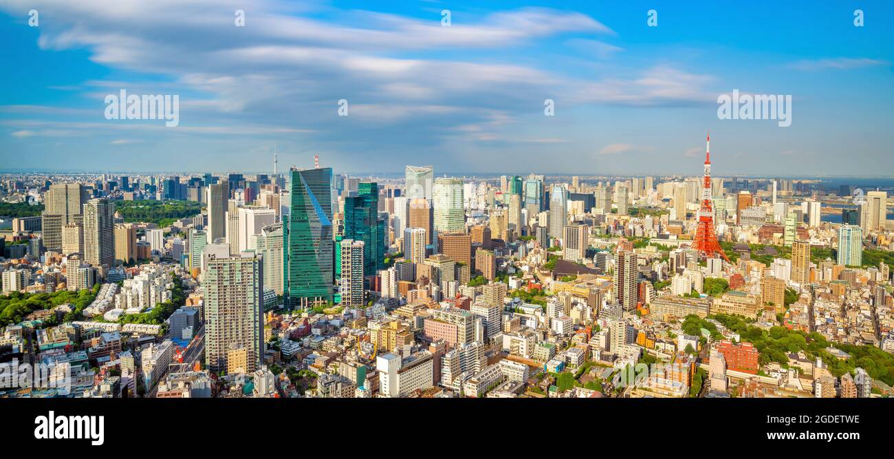 Panorama view of Tokyo city skyline and Tokyo Tower building in Japan ...
