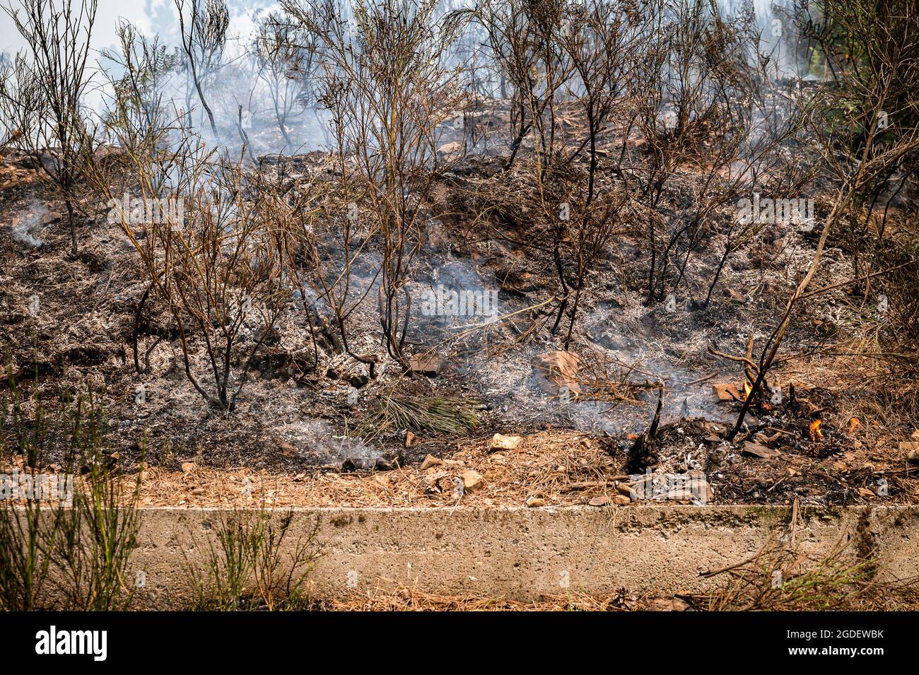 Smoking grounds after massive forest fire at Aspromonte National Park ...