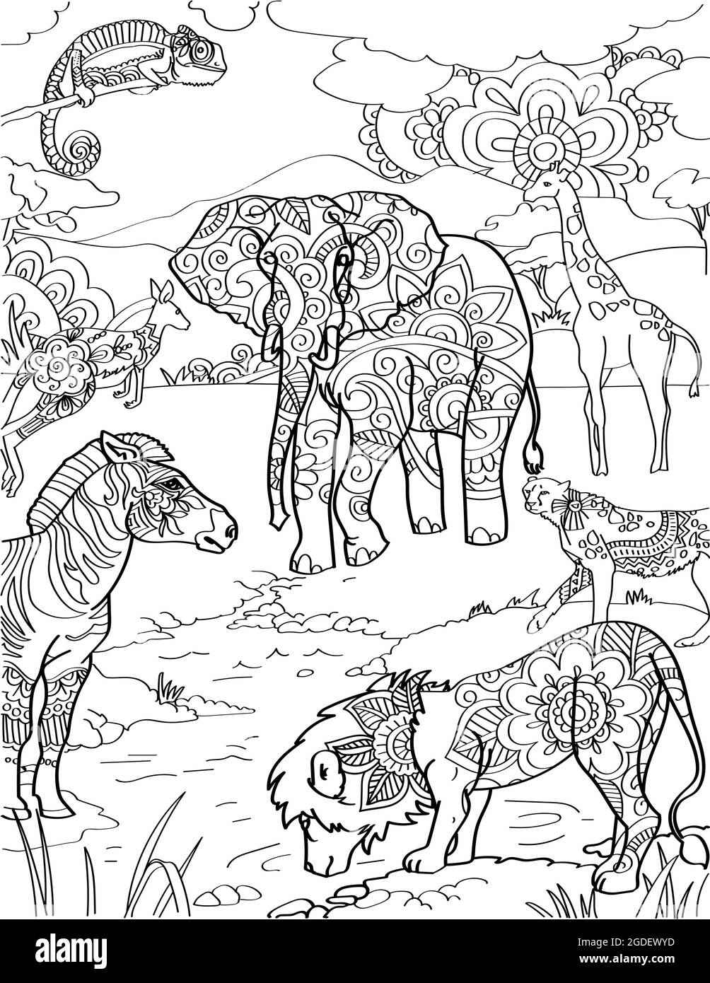 Lion Line Drawing High Resolution Stock Photography and Images - Alamy