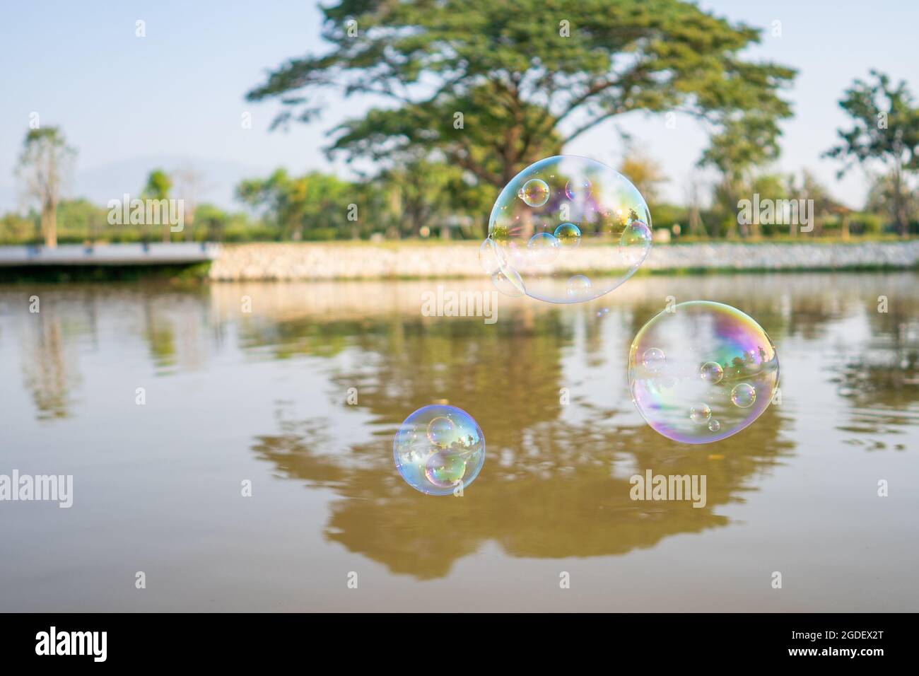 Floating soap bubbles at the lake in a park Stock Photo - Alamy