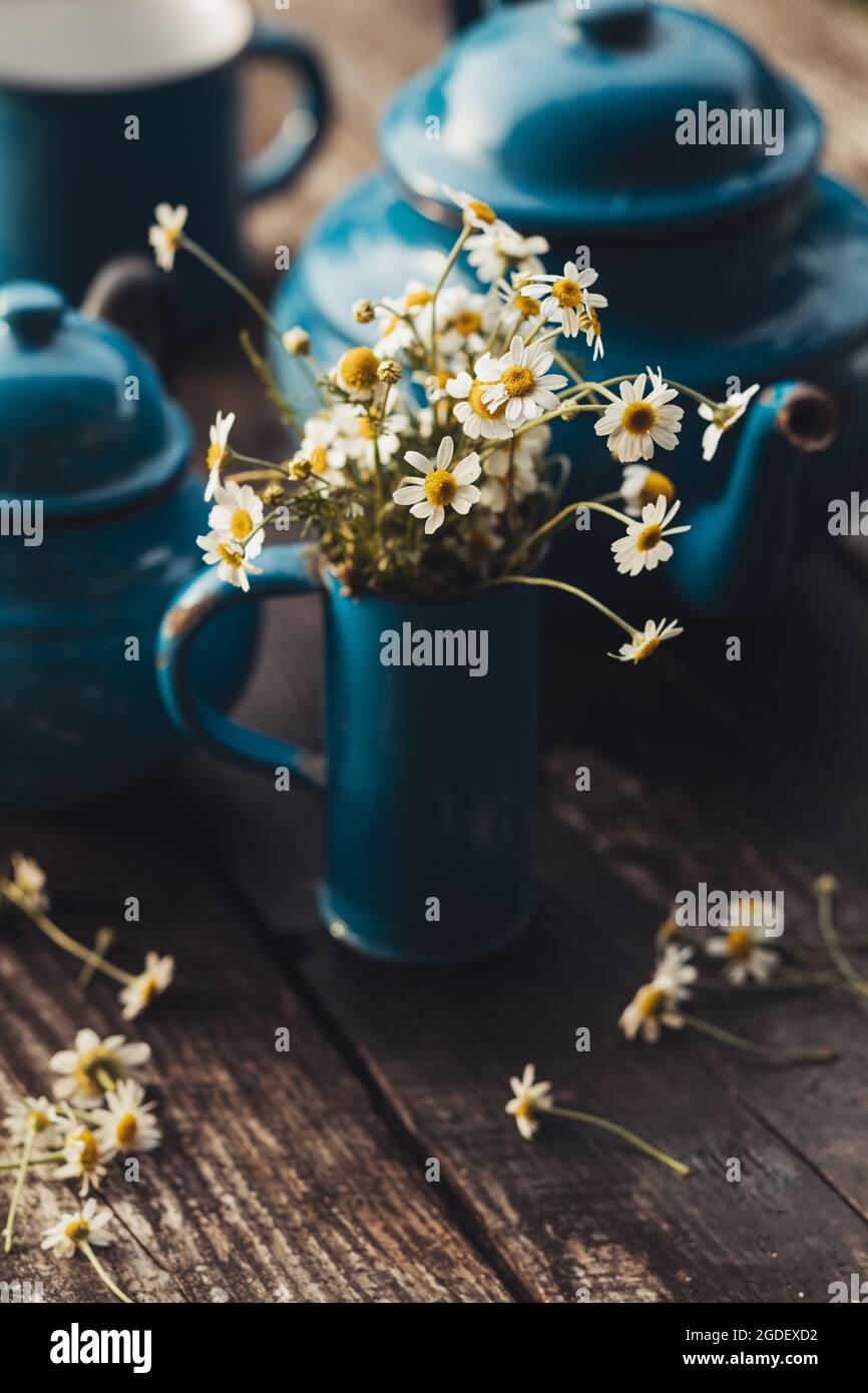 Phyto chamomile tea with vintage tea set Stock Photo - Alamy