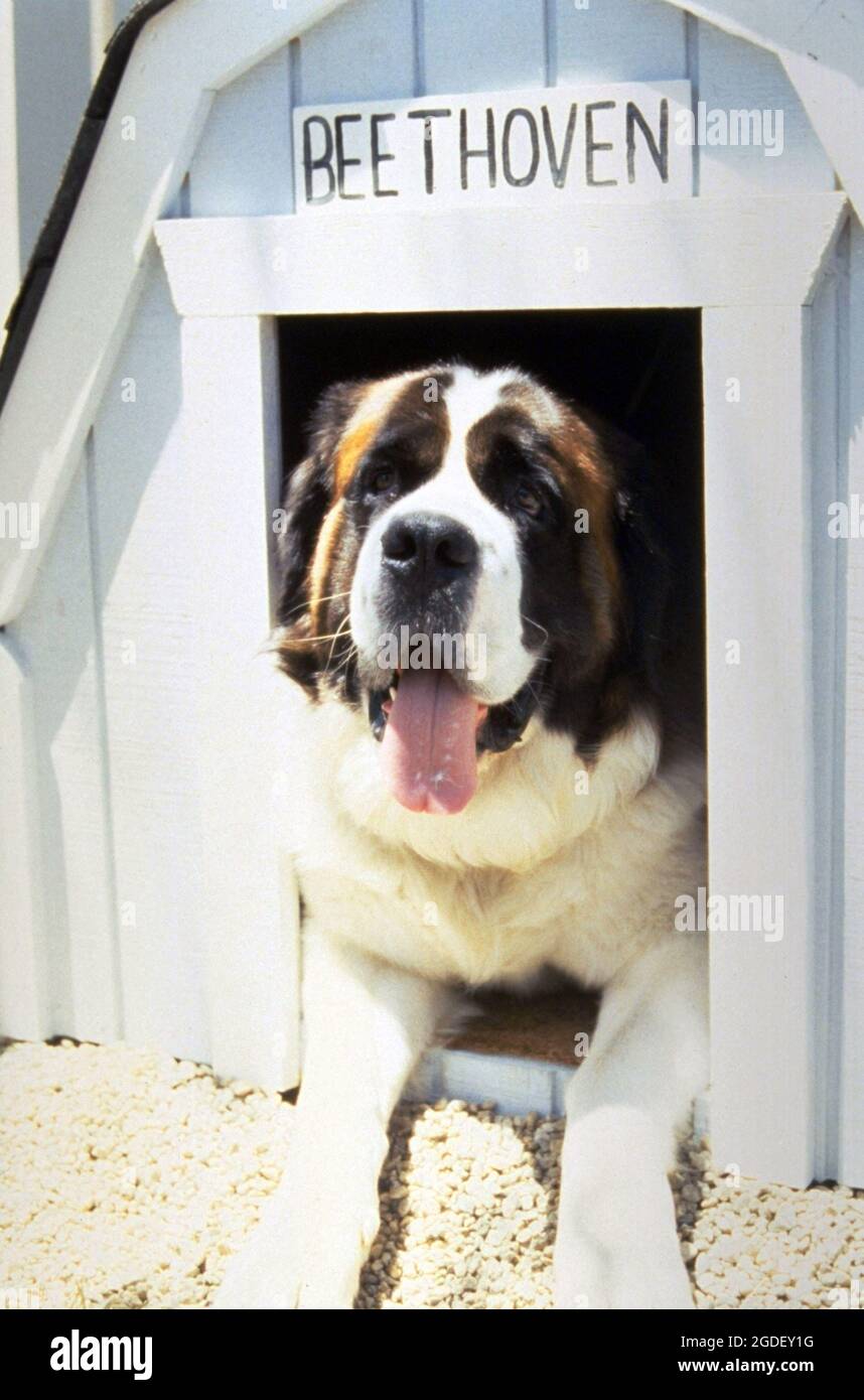 Is Beethoven The Dog Alive