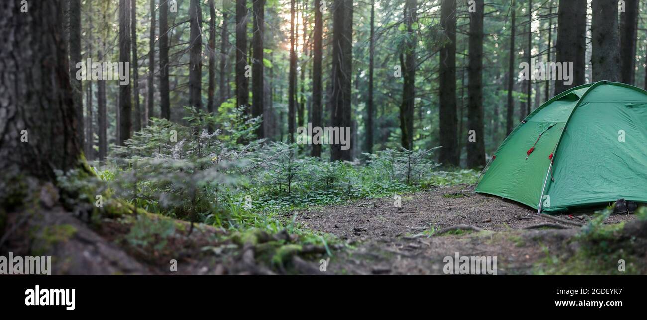 Tourist green tent in forest at campsite on sunset. Camping background ...
