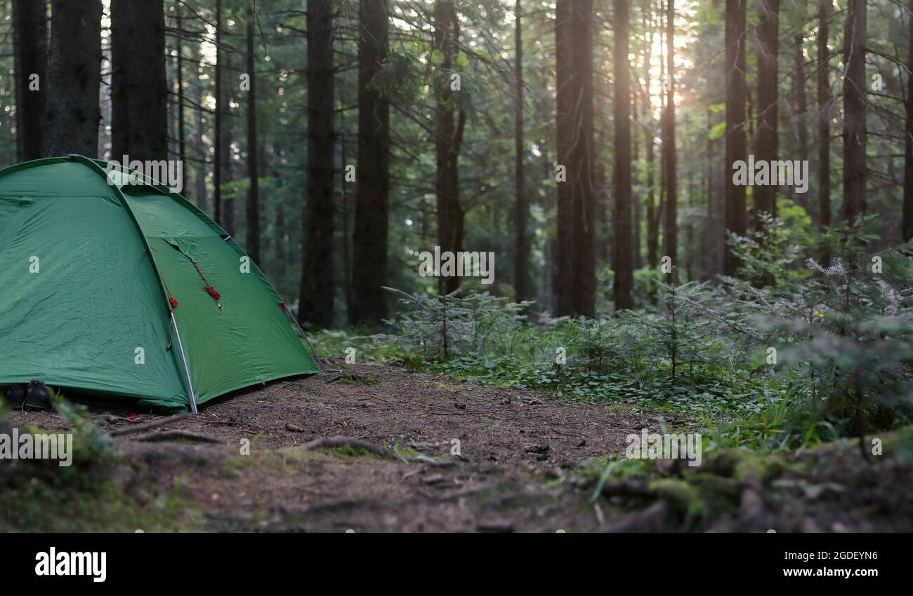 Tourist green tent in forest at campsite on sunset. Camping background ...