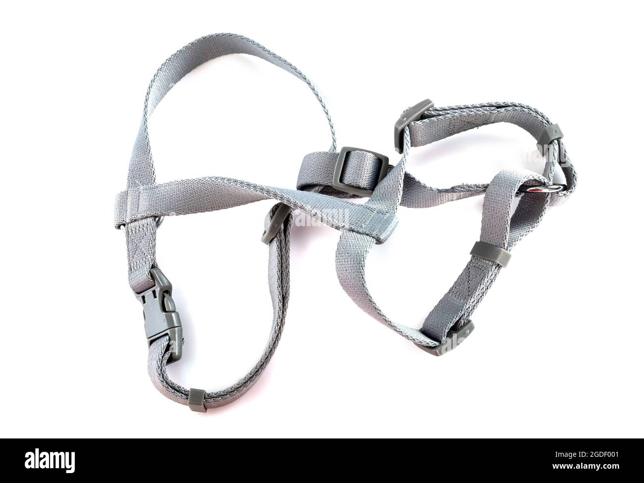 gray harness in front of white background Stock Photo - Alamy