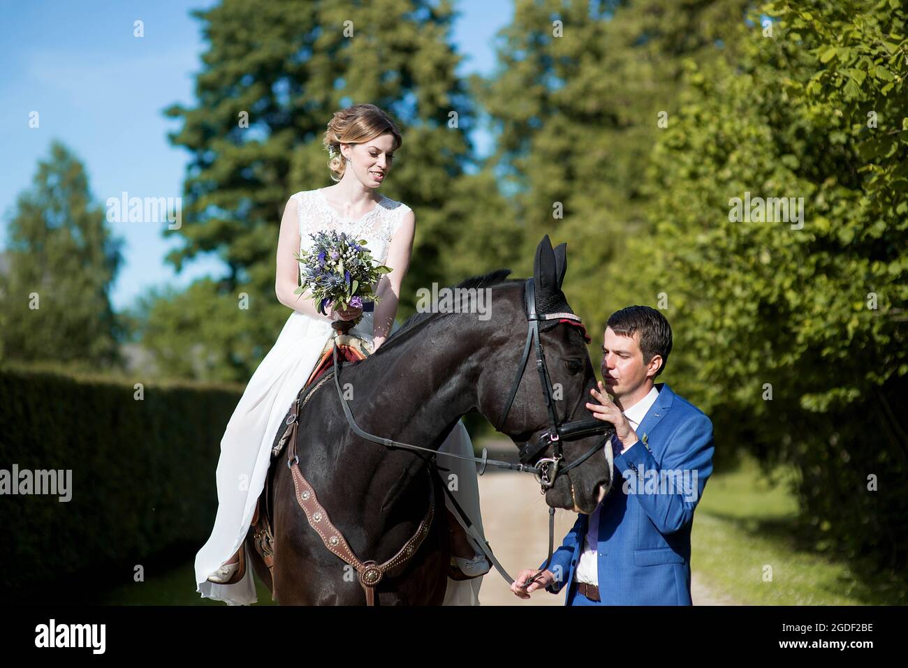 Wedding outdoor portrait. The beautiful attractive bride is ridding the ...