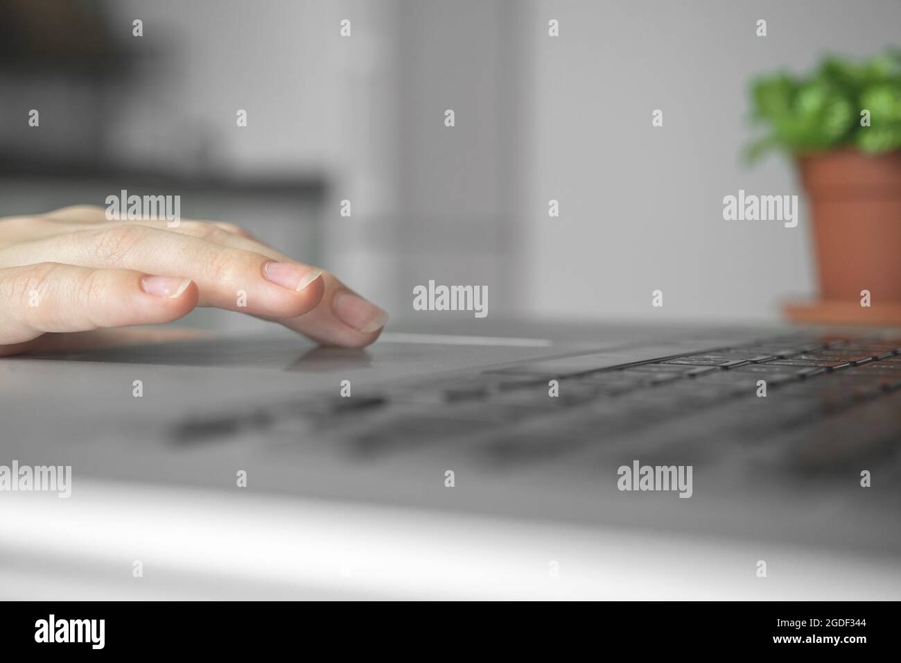 Hand and laptop keyboard close-up. Businesswoman or student using ...