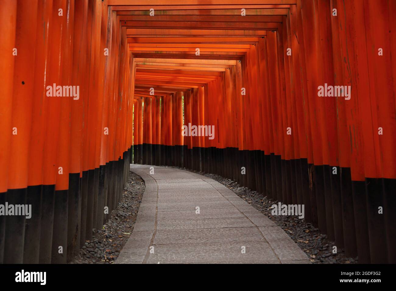 Red Tori Gate at Fushimi Inari Shrine in Kyoto , Japan Stock Photo - Alamy