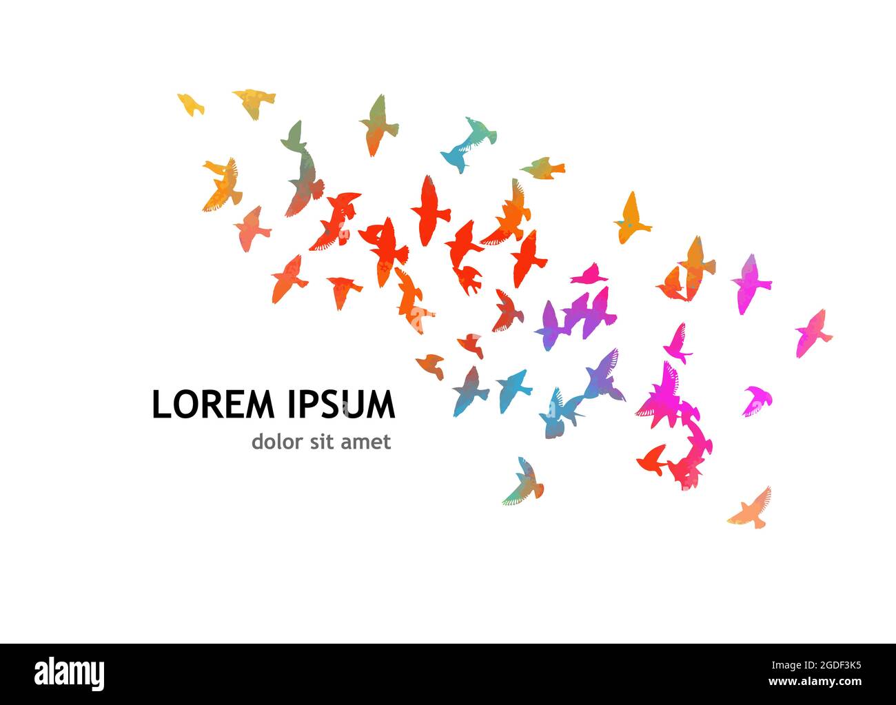 A flock of colorful birds. Vector illustration Stock Vector Image & Art ...