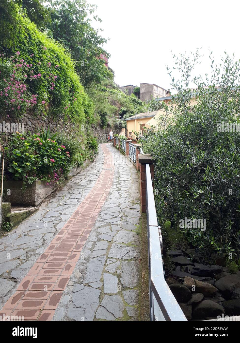 Beautiful footpath in the greenery of Genova Stock Photo - Alamy