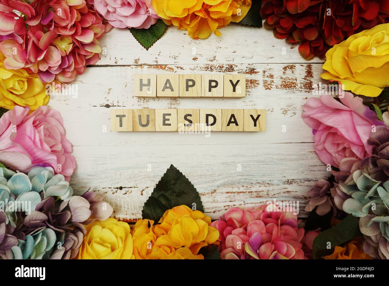 Hello Tuesday alphabet letter with colorful flowers border frame on ...