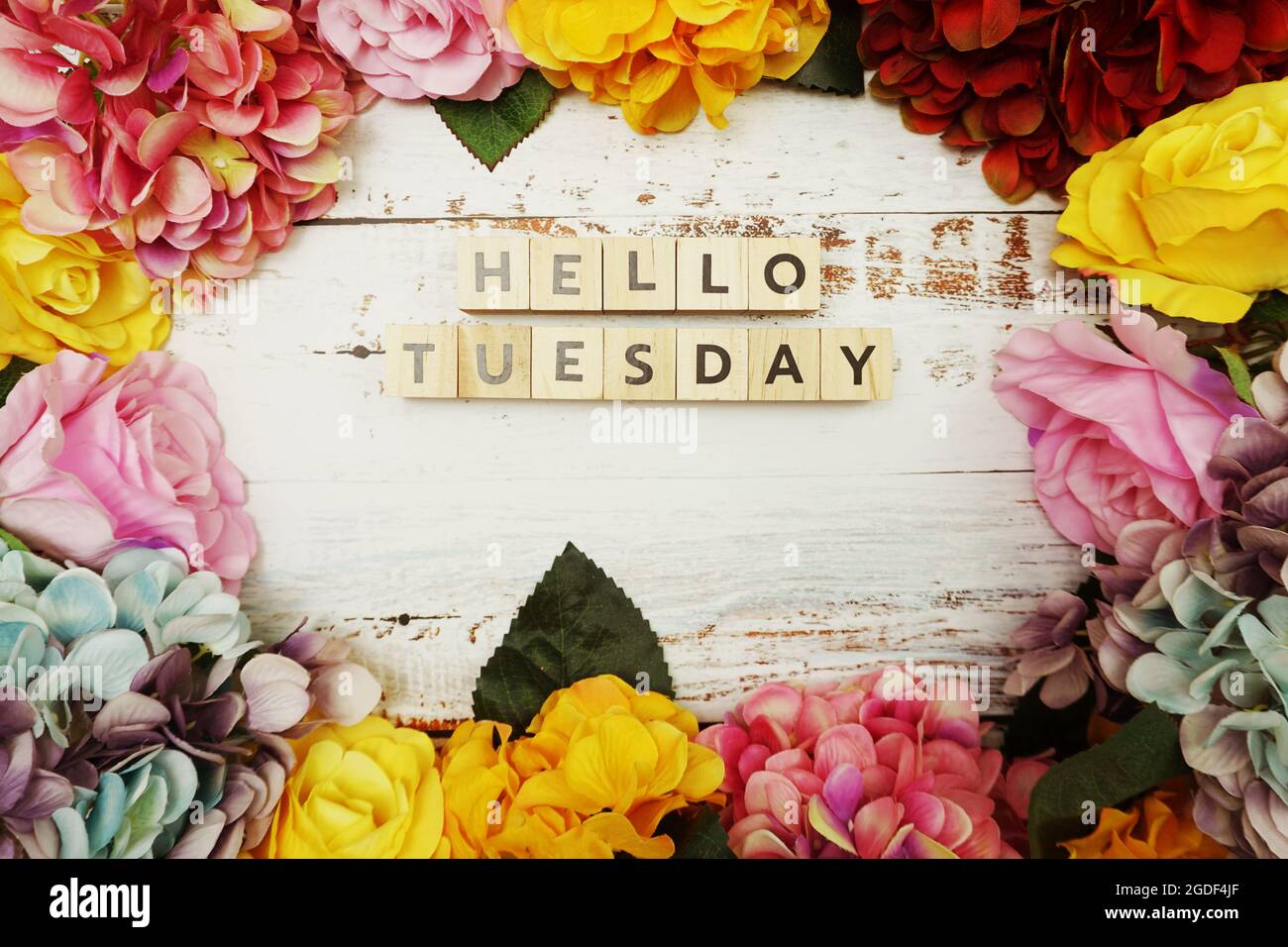 Hello Tuesday alphabet letter with colorful flowers border frame on ...