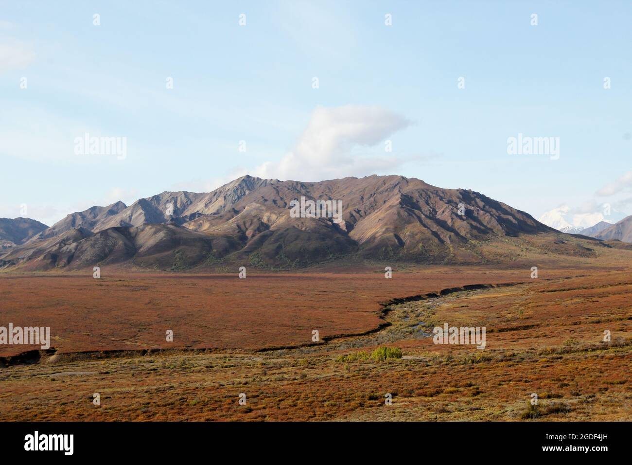 Landschaft des Denali Nationalpark, vormals Mount Mc Kinley ...