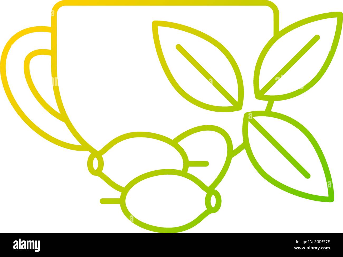 Rosehip tea gradient linear vector icon Stock Vector Image & Art - Alamy