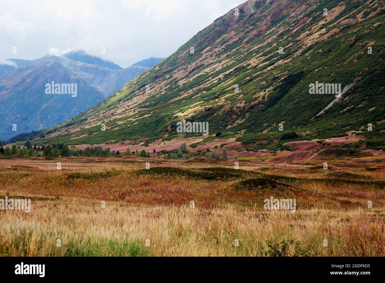 Lila bunte landschaft hi-res stock photography and images - Alamy