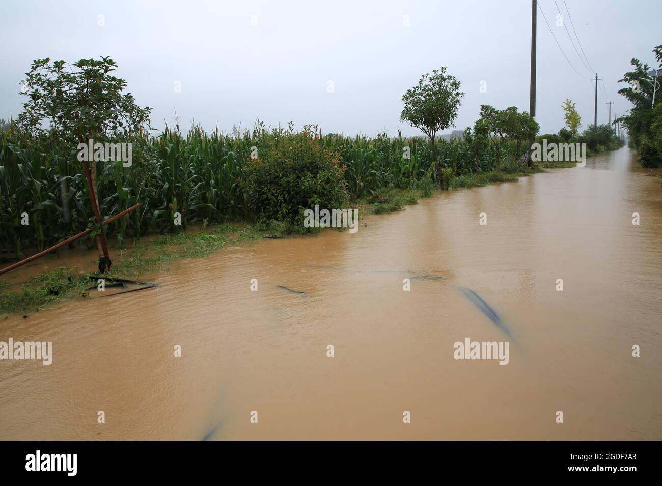 China's Hubei Province, 13 August 2021: A heavy storm hits parts of ...