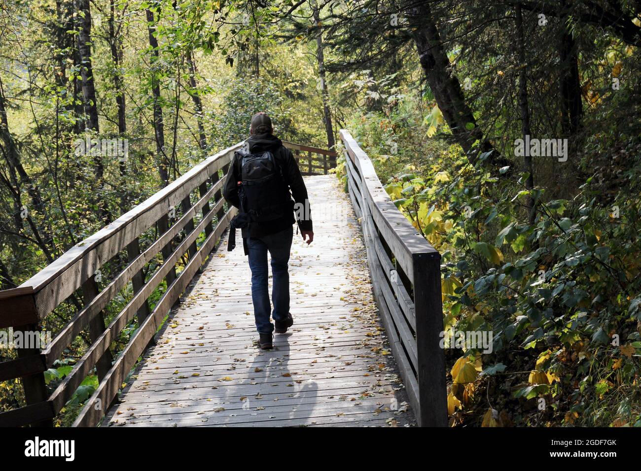 Wanderer von hinten hi-res stock photography and images - Alamy
