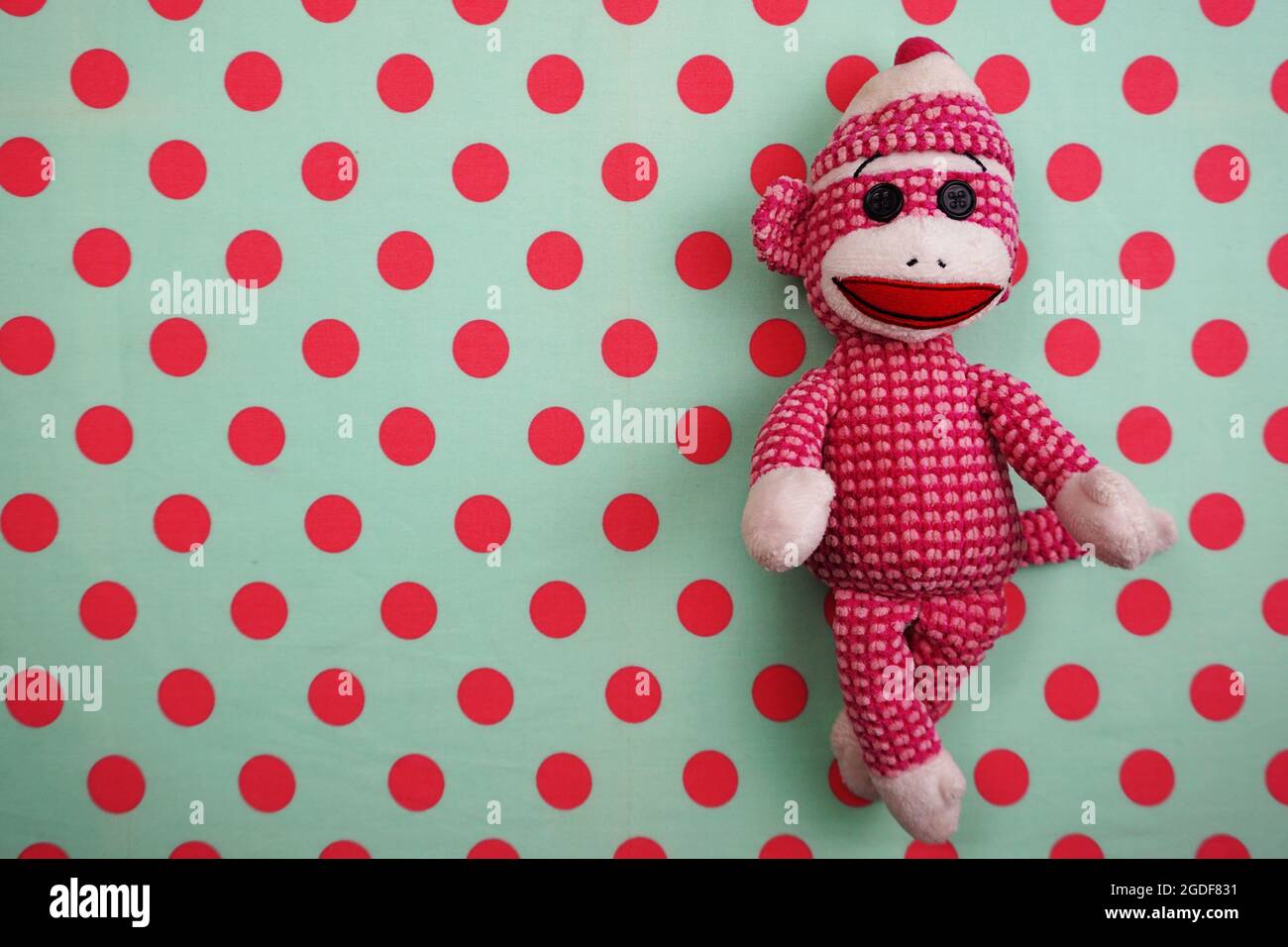 Pink Monkey Doll Top view on Pink and green Polka dot background Stock ...