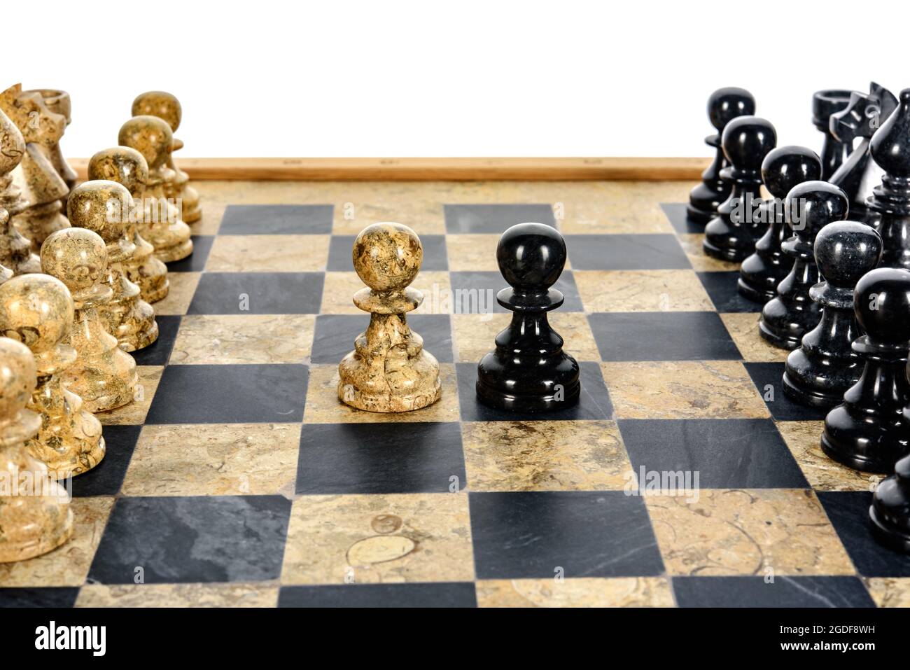 two pawn chess pieces as rivals, in centre on beige and black coral ...