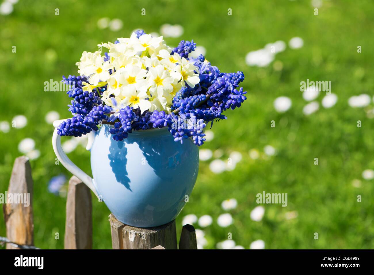 Spring flowers in a milk jug Stock Photo - Alamy